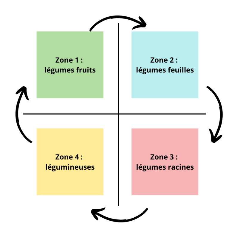 3 bonnes raisons de faire des rotations de cultures